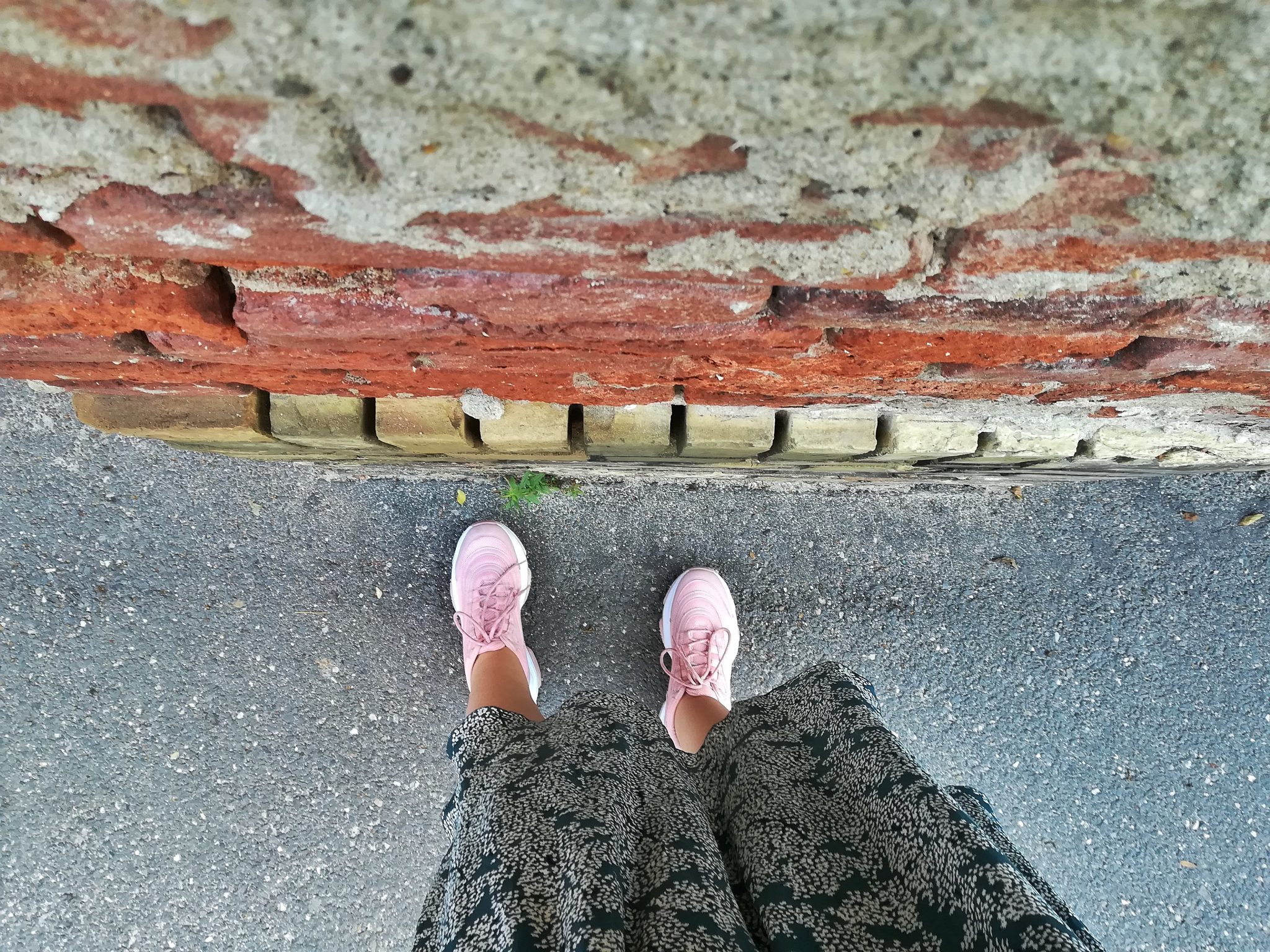 Obstacol, lecție și o măslină – ianca